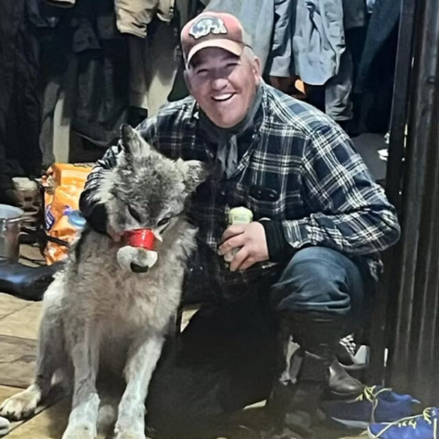 Infamous wolf captor Cody Roberts pleads not guilty, trial set for ...